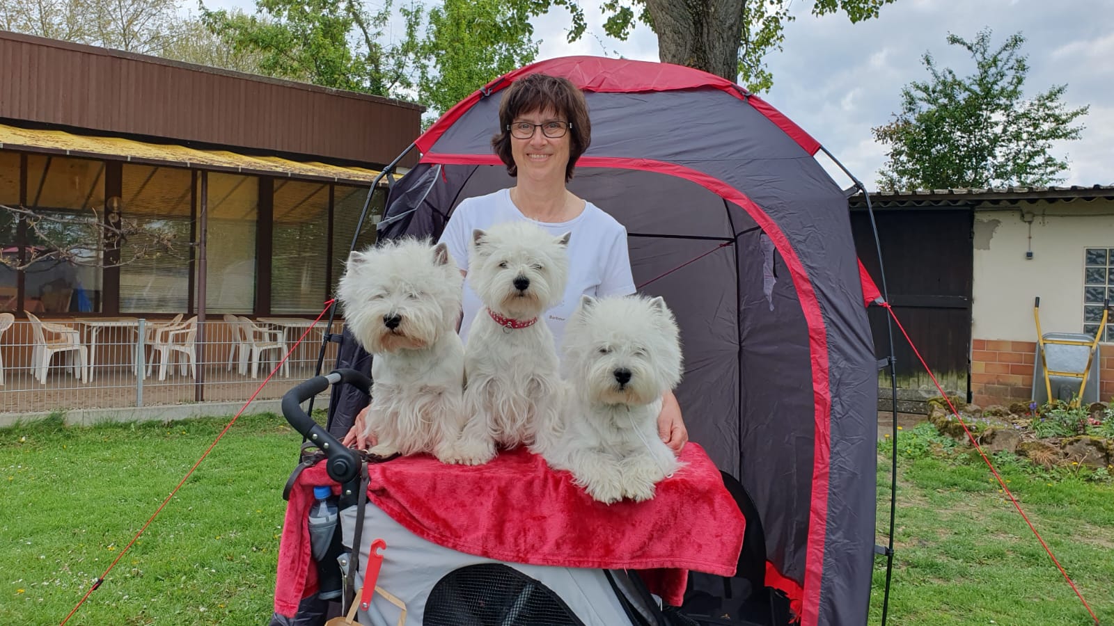 Erfolgreiche Zuchtzulassung – Snowflake Mountain